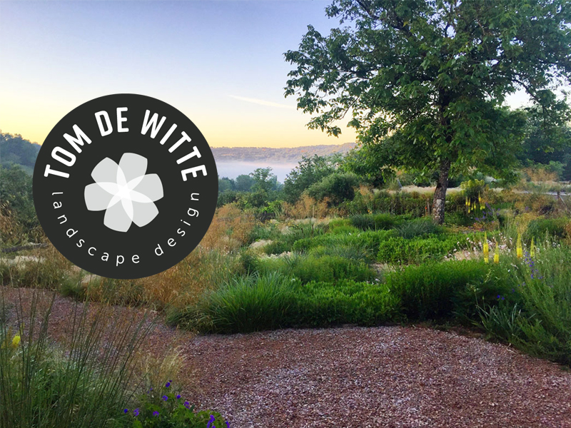 Welcome - Tom de Witte