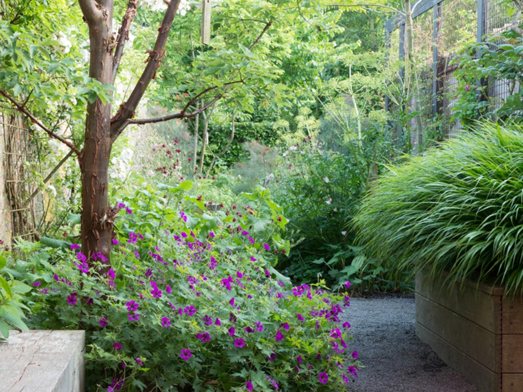 Aardenburg (NL) - Tom de Witte